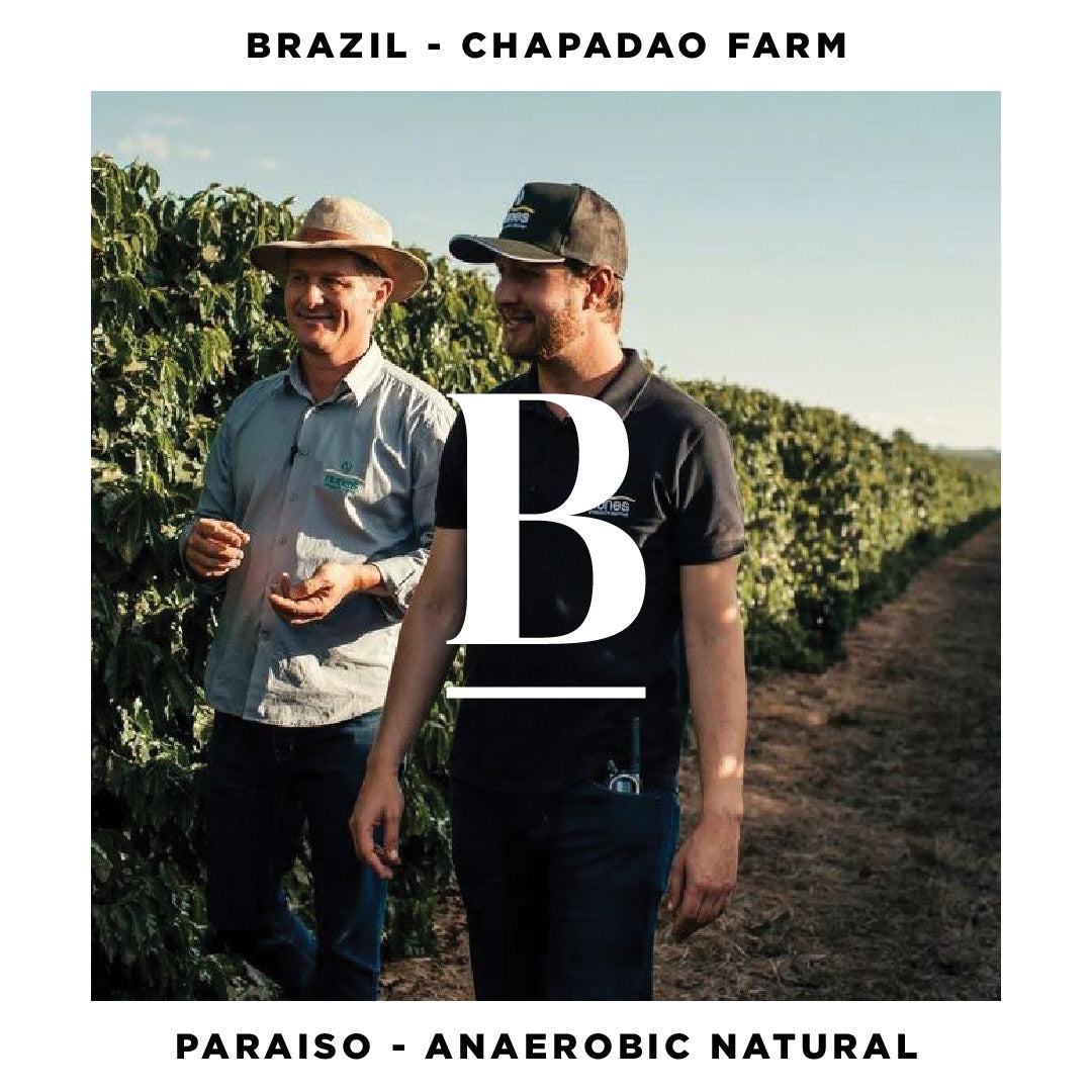 Our Brazil Paraiso Anaerobic Natural from Chapadão Farm