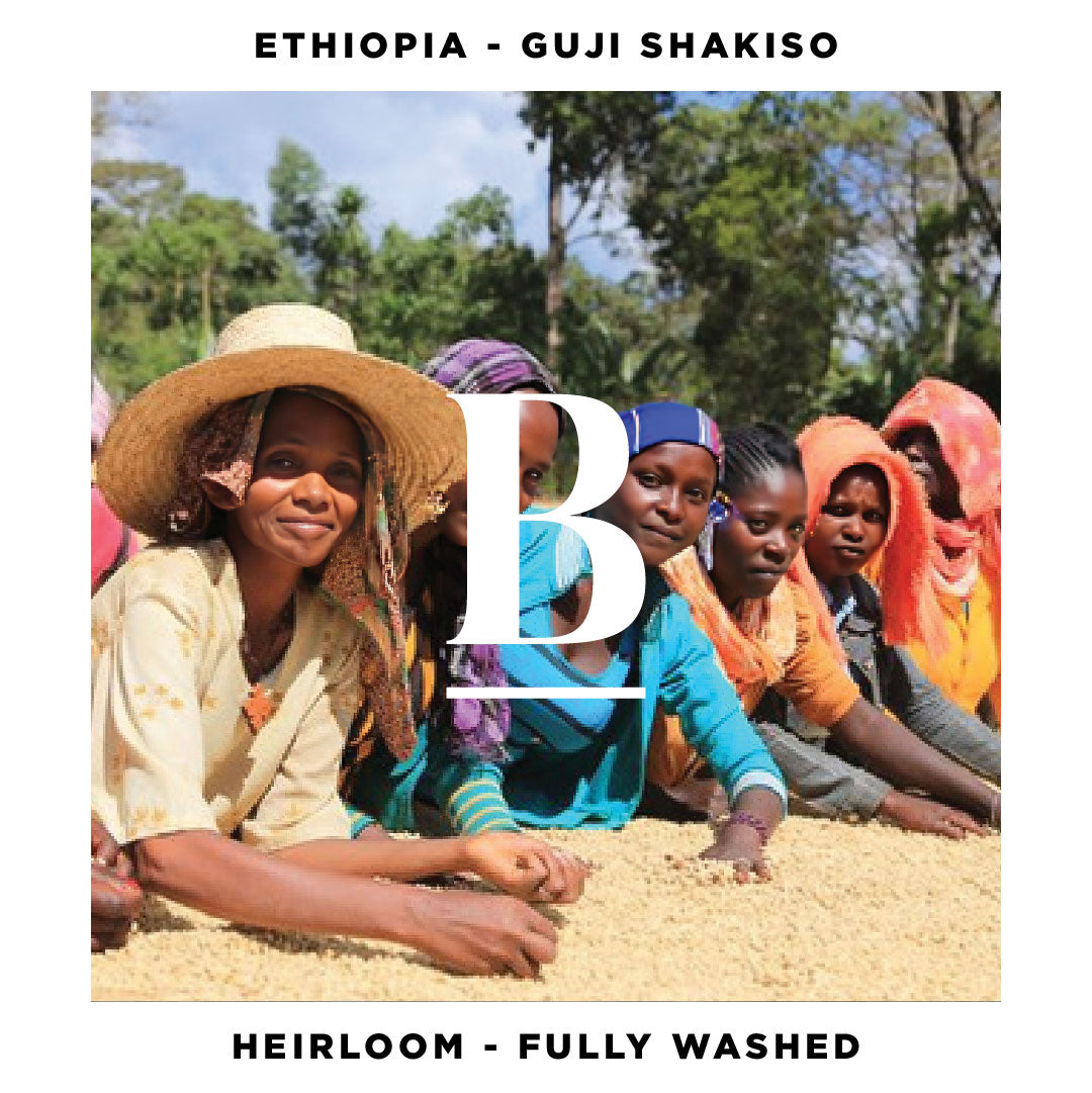 Single Origin Filter Coffee Monthly Roaster Selection